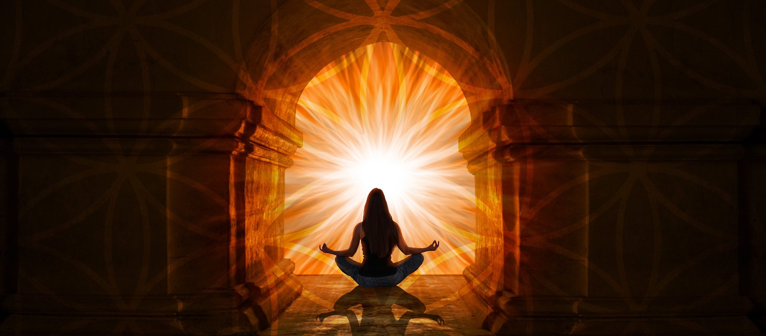 Life in 5D and The Law of One – Zoom Ascension Workshop with Tim Whild ...