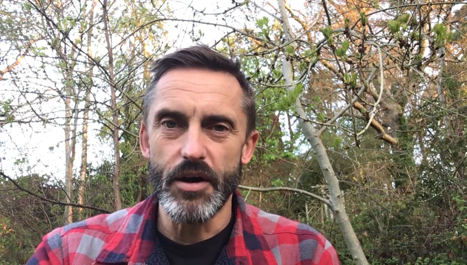 Heart Work | Tim Whild