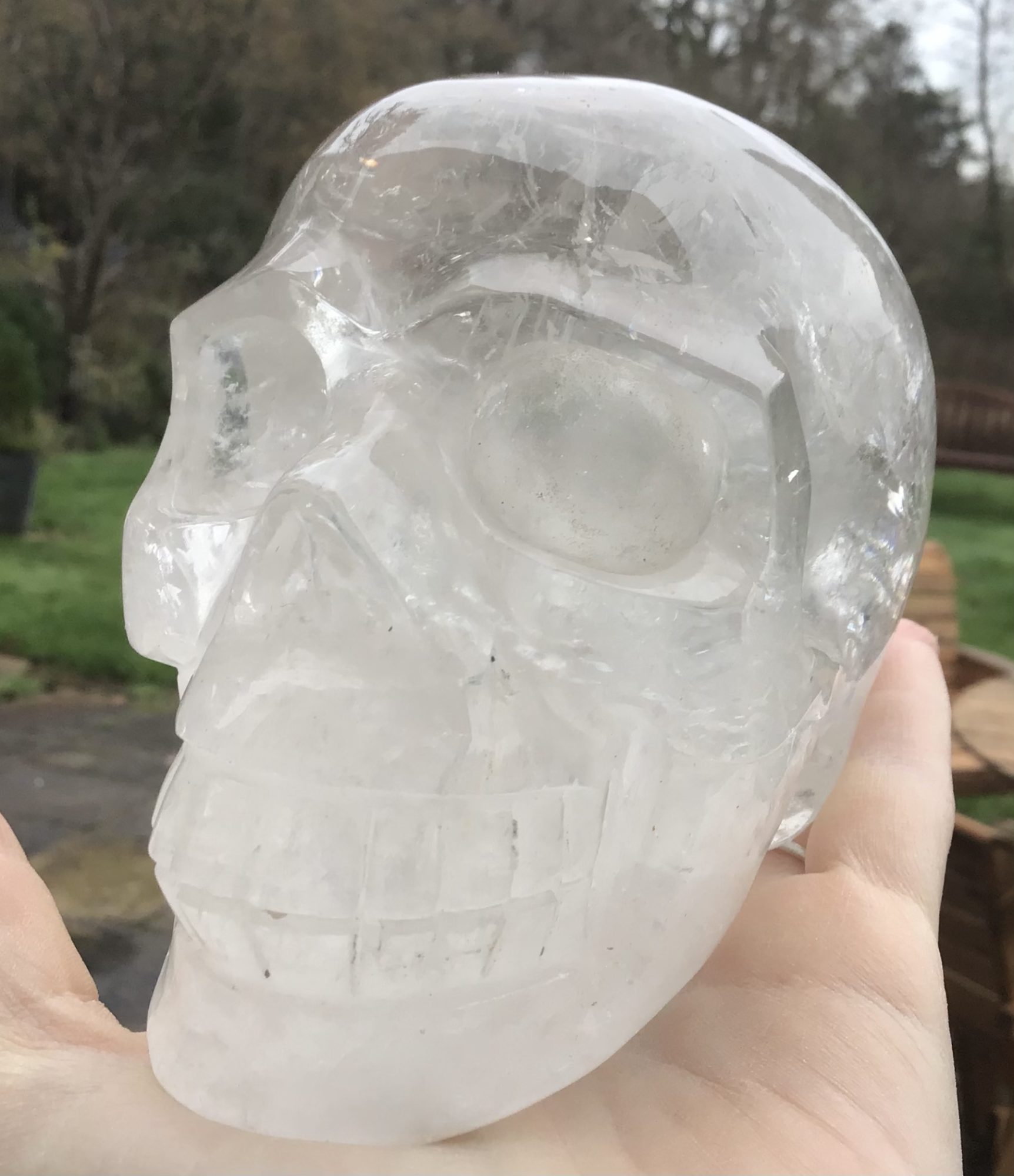 Quartz Crystal Skull/Golden Healer | Tim Whild