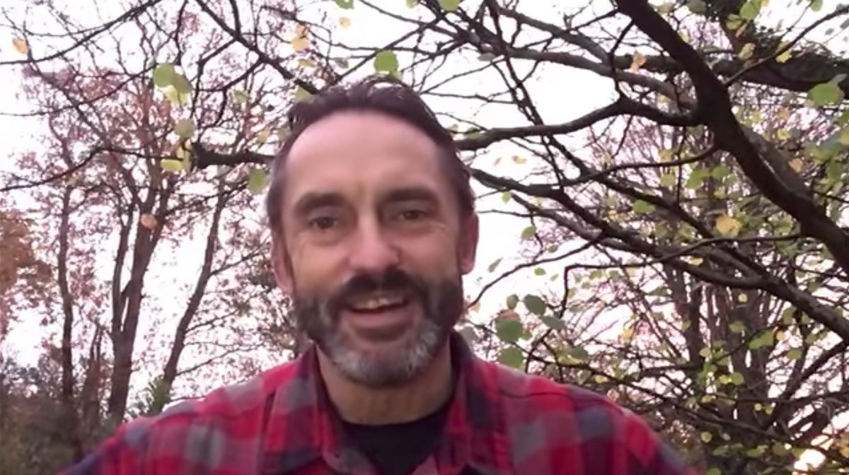 Friday Ascension Update - Let There be Light | Tim Whild