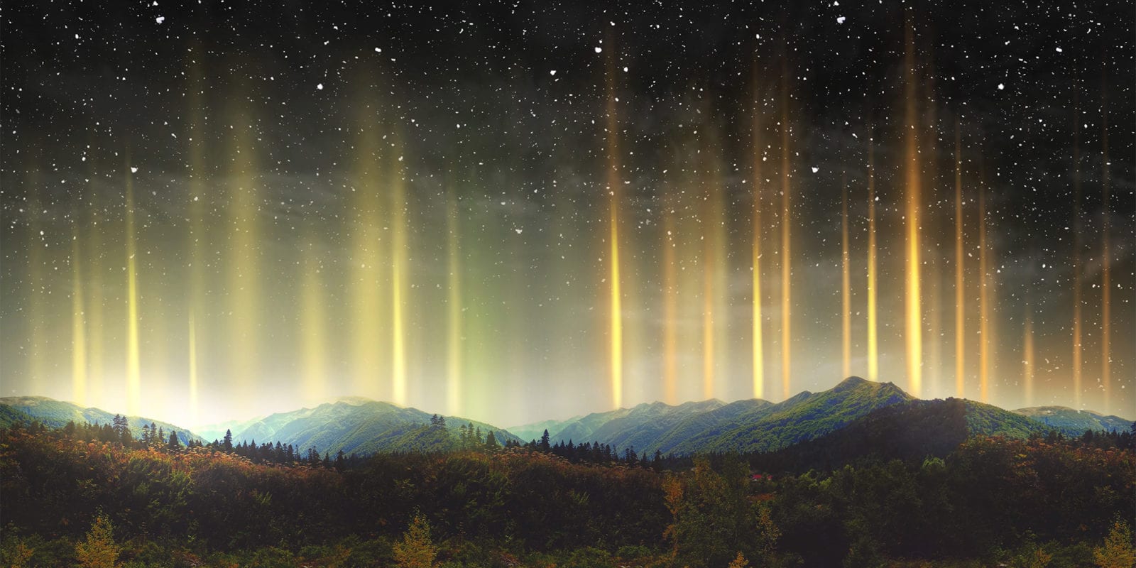 Become an Ambassador for The Council of Earth - Zoom Online Workshop ...