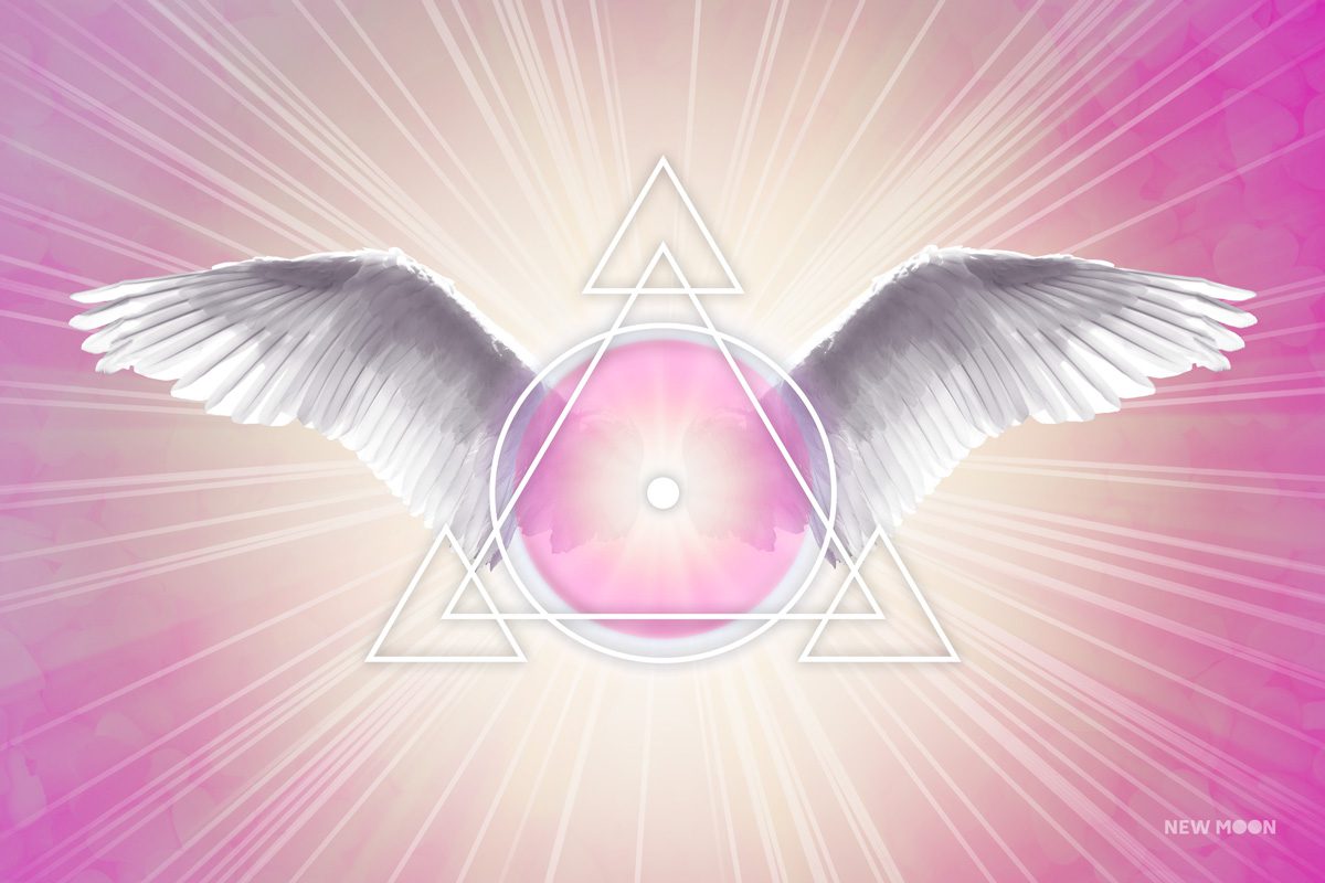 The Beloved Archangels Speak | Tim Whild