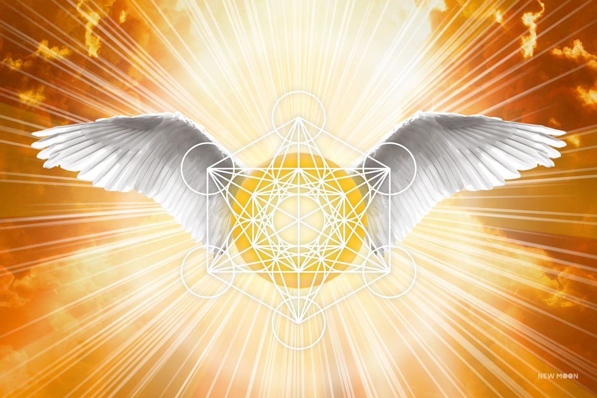 The Beloved Archangels Speak | Tim Whild