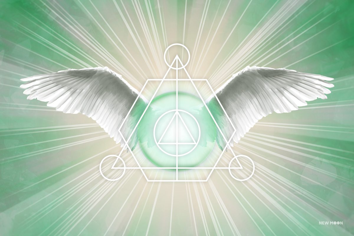 The Beloved Archangels Speak | Tim Whild