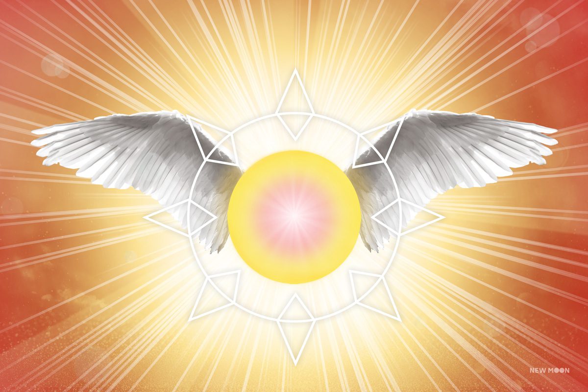 The Beloved Archangels Speak | Tim Whild