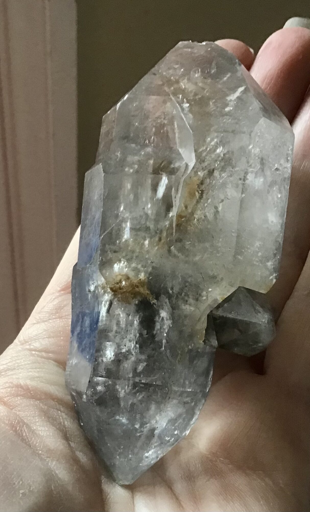 Elestial Enhydro Quartz Crystal | Tim Whild
