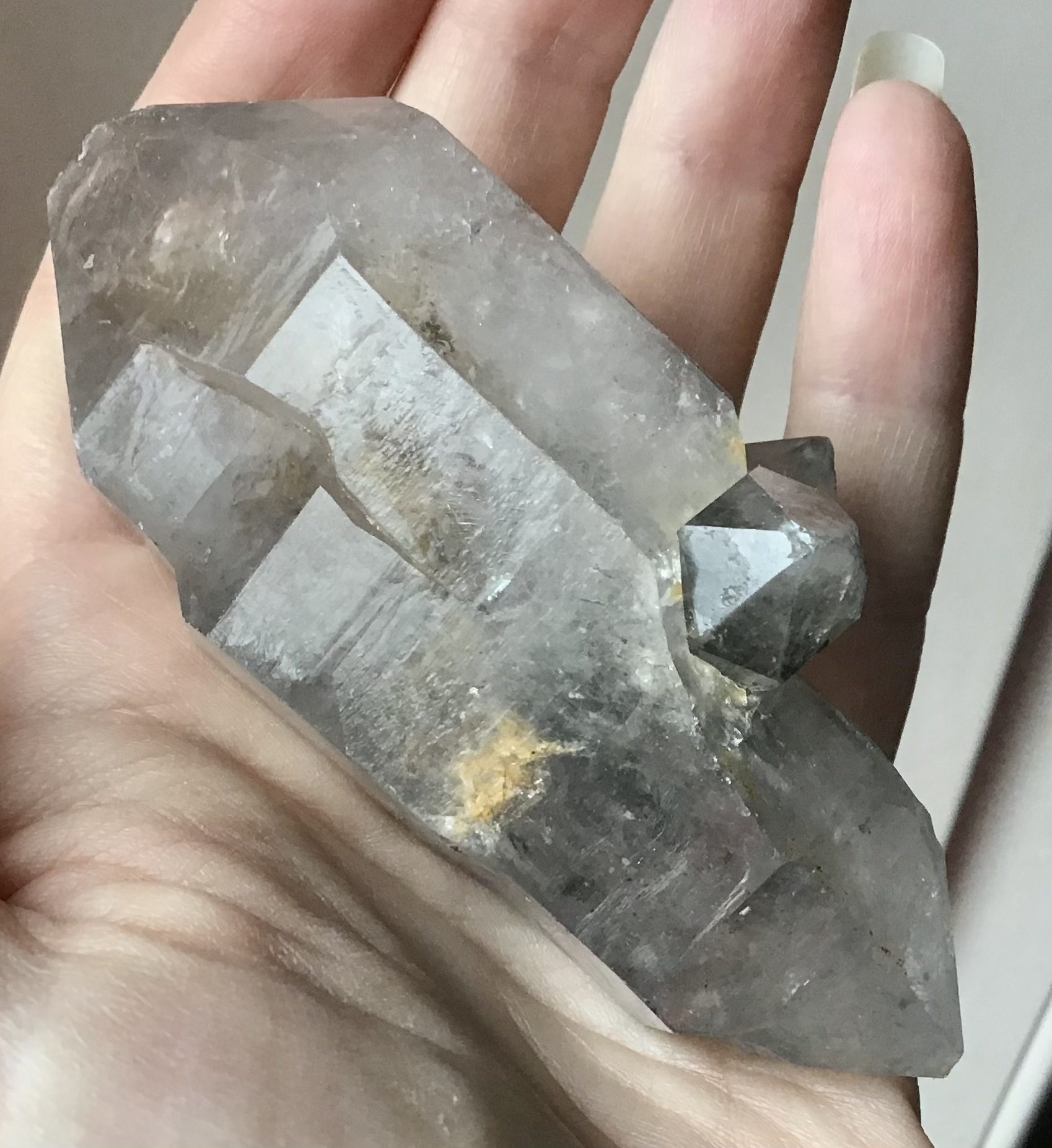 Elestial Enhydro Quartz Crystal | Tim Whild