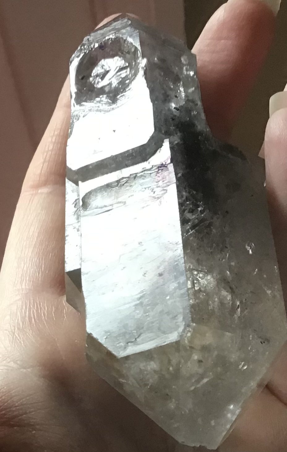 Elestial Enhydro Quartz Crystal | Tim Whild