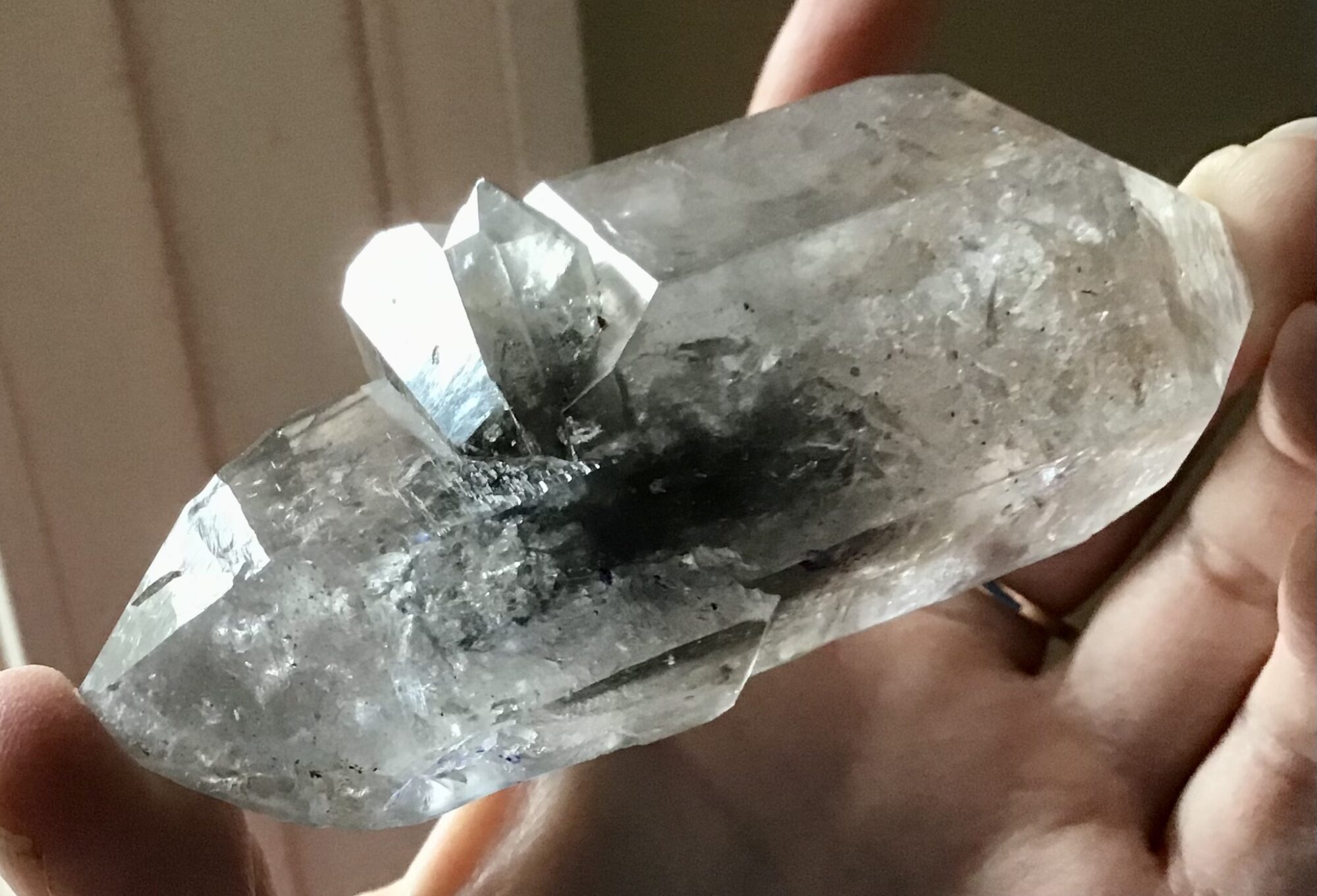 Elestial Enhydro Quartz Crystal | Tim Whild