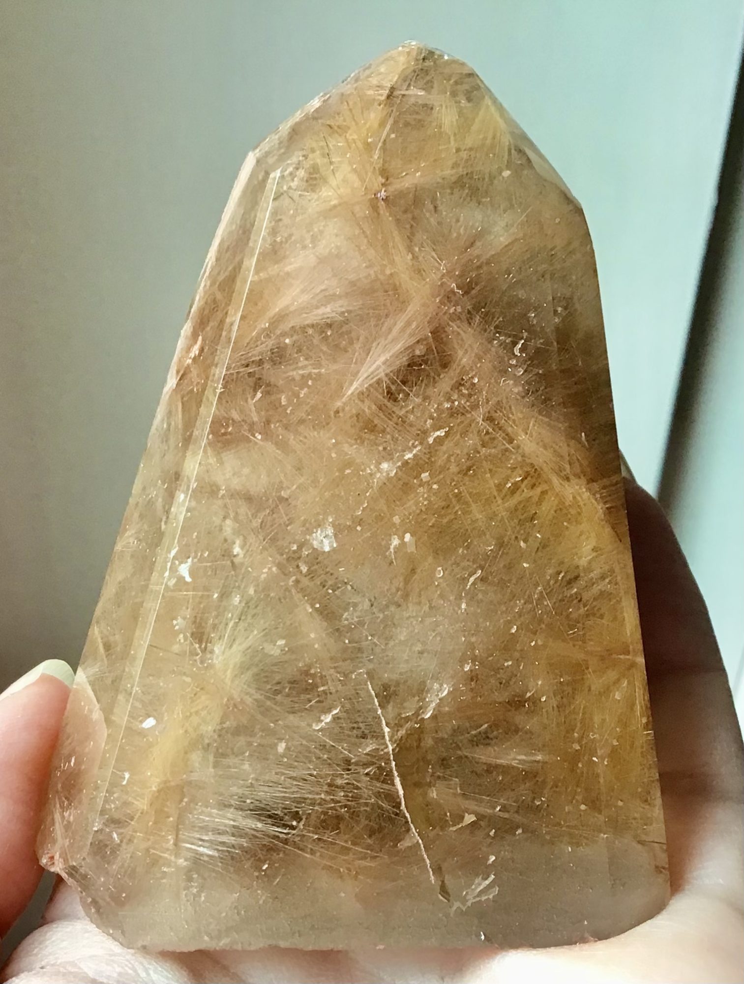 Clear Quartz Gold Rutile Phantom Crystal | Tim Whild