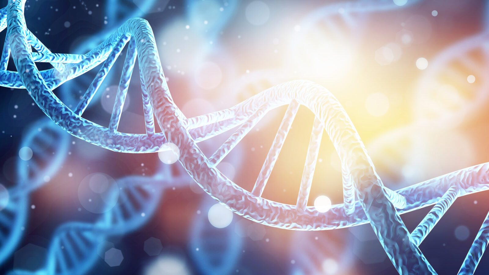 The Higher Heart & the Superhelix Activation with Anna Indra Larsson ...