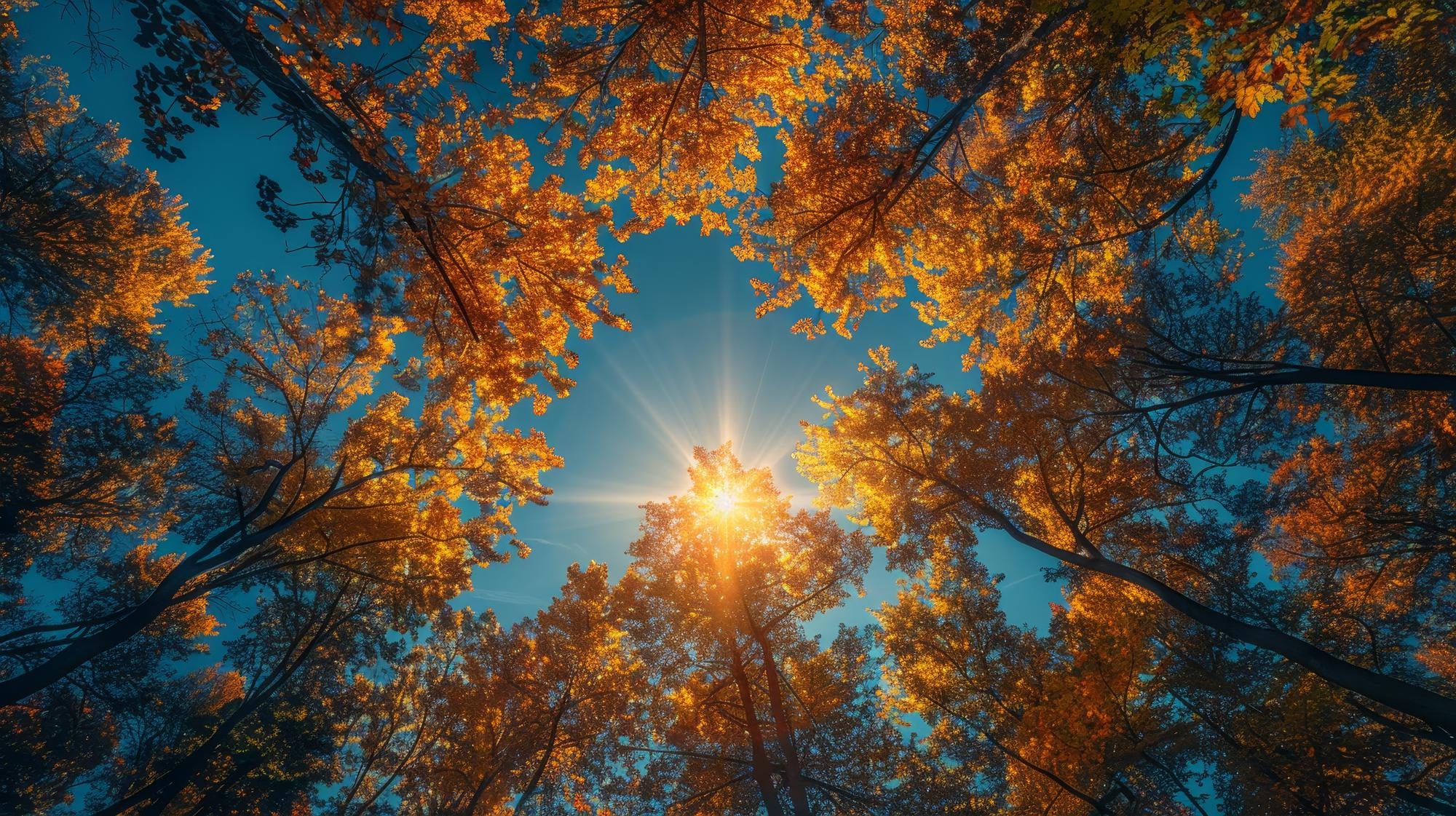 Autumn Equinox ~ Soul Ascension Workshop | Tim Whild